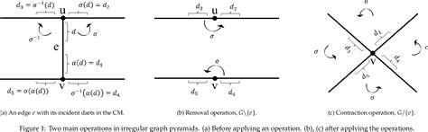 Figure 1 From Fast Labeled Spanning Tree In Binary Irregular Graph