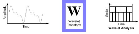 Wavelet Transformation Download Scientific Diagram