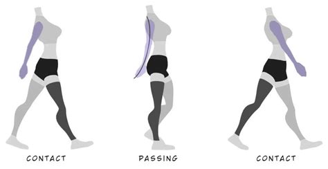 Tutorial 2 Female Walk Cycle Animation Reference Animation Tutorial