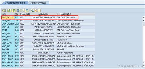 Sap Netweaver版本和sap Kernel版本的确定 Csdn博客