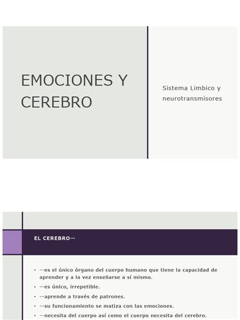 Neurotransmisores Y Emociones Pdf Cerebro Aprendizaje