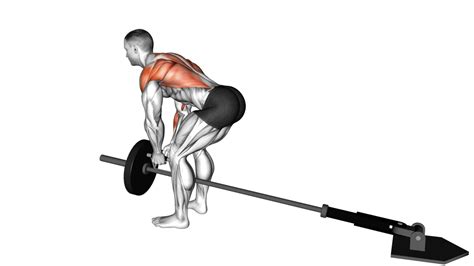10 Lower Body Pull Exercises To Strengthen Your Hamstrings And Glutes