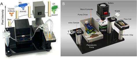 A Photograph And B Schematics Of The Portable Biosensor Kit Download Scientific Diagram