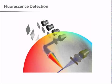 Fluorescence Activated Cell Sorting
