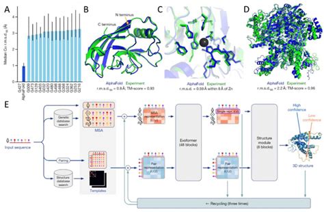 A Alphafold2s Performance On The Casp14 Set N 87 Protein Domains