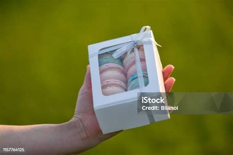 녹색 흐린 복사 공간 배경에 다채로운 분홍색 파란색 수제 마카롱 쿠키와 골판지 선물 상자를 들고 여성 손 근거리 초점에 대한 스톡 사진 및 기타 이미지 Istock