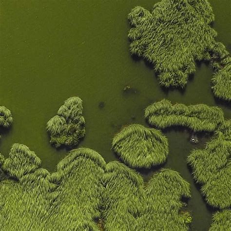 Algae Foam Cushion Innovative Bio Based Materials Veerah Veerah