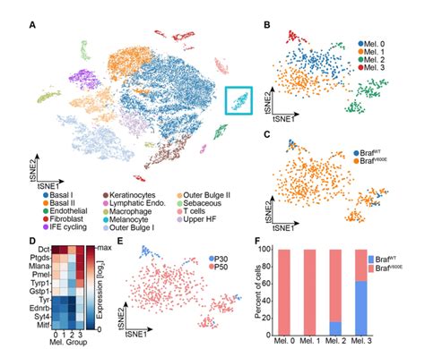 Singlecell Rna Sequencing Rnaseq For Senescent Mouse Exploring Long