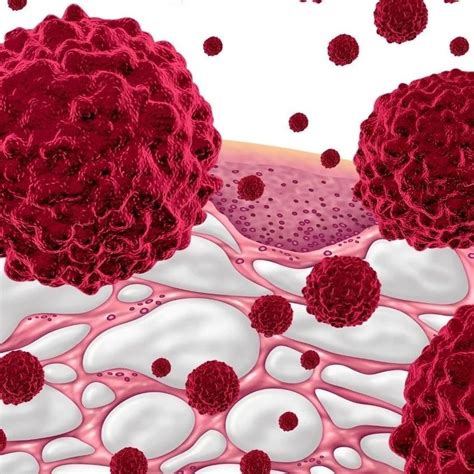 Cell Stem Cell 北京大学邓宏魁 王金琳建立更加快速高效的人体细胞化学重编程体系 生物探索