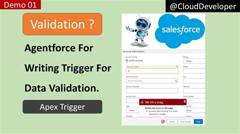 Salesforce Agentforce Apex Trigger For Data Validation Vs Code For