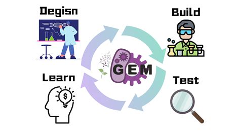 Engineering Tsinghua Igem 2024