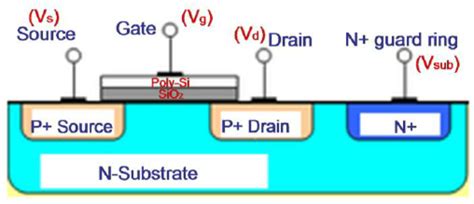 Schematic Cross Section Of The Light Emitting Mos Device Gate Width Is Download Scientific