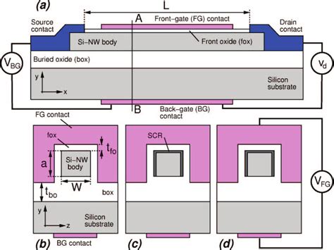 Soi Si Nw Device Cross Sections A Length X Y View With Device Length