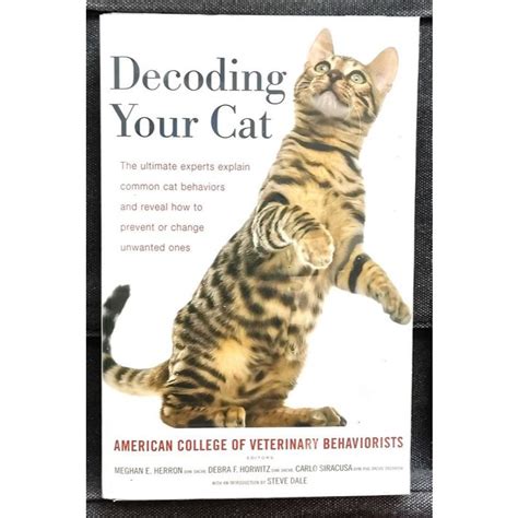 Decoding Your Cat The Ultimate Experts Explain Common Cat Behaviors