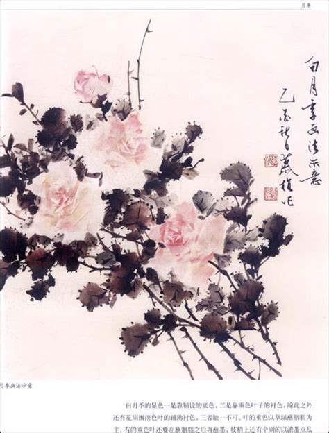 月季中国画 中画素材 中画白描月季 大山谷图库