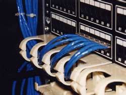 Cat Patch Panel Wiring Diagram Wiring Dont Need Talk