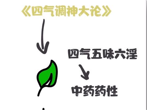 黄帝内经素问四气调神大论序 包菜大师 站酷ZCOOL