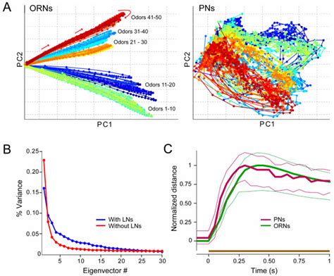 Odor Representations In Our Model Were More Uniformly Distributed In Download Scientific