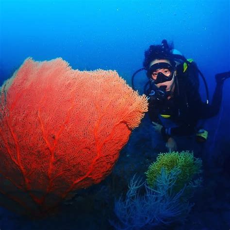 Chia Yu Wang Chiayuwang0507 • Threads Say More