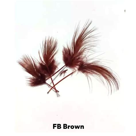 Fazano Kūno Plunksnos Flytotie