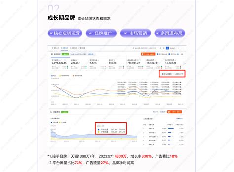 天猫代运营 亿馨网络