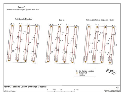 NC Hops 2010 2012 Research Project Observations NC State Extension
