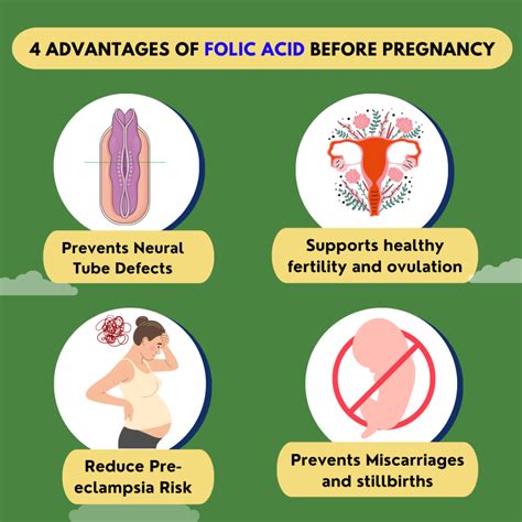 Folic Acid Before Pregnancy Top 4 Essential Advantages Explained