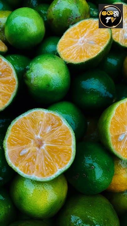 Fruits මේ පලතුරු කන්න කැමති අය Subscribe කරන්න 🥰 Shortvideo Viralvideo Butterfly Youtube