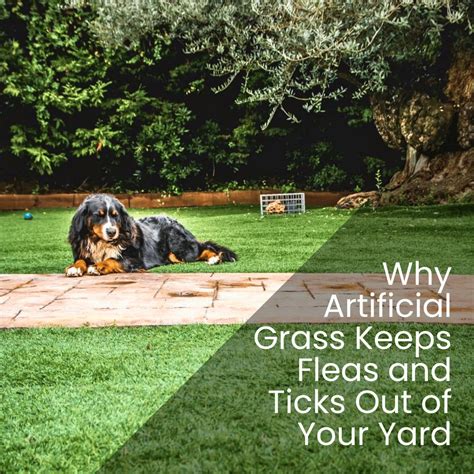 How Artificial Grass Can Prevent Fleas And Ticks In Your Yard
