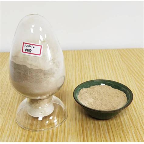 Bacillus Subtilis The Multifunctional Bacterium That Revolutionized Industry