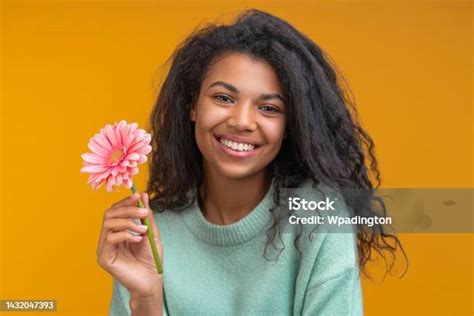 스튜디오는 밝은 색의 오렌지색 노란색 배경 위에 고립 된 손에 거베라 꽃으로 포즈를 취하는 매력적인 젊은 여성의 초상화를 닫습니다 거베라데이지에 대한 스톡 사진 및 기타