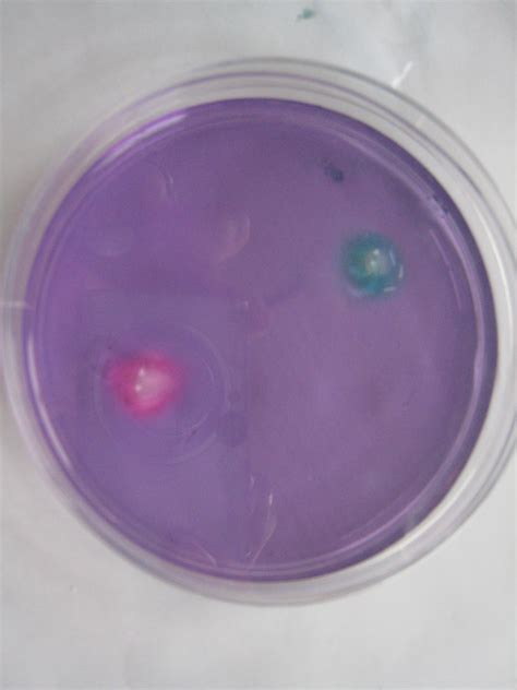 Diffusion And Osmosis Experiments The Kitchen Pantry Scientist