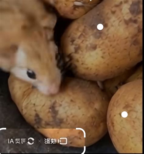 Что за ИИ который оживляет фото Aleksei Borodov 10 Ответы Mail