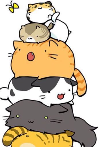 Squished Kitten Stack Wiki Squishy Amino Amino