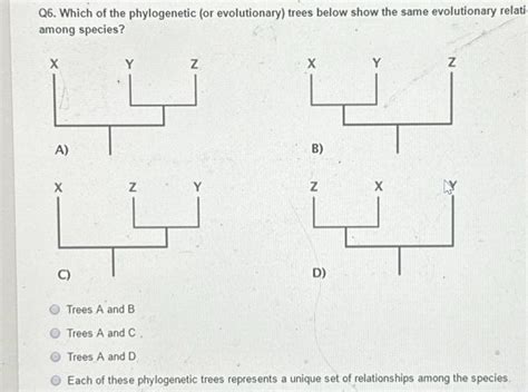 Solved Q6 Which Of The Phylogenetic Or Evolutionary Trees