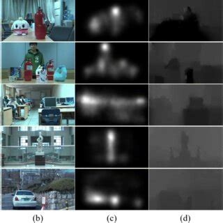 Examples Of Input Images In IEEE SA Database A Left View Image B Download Scientific