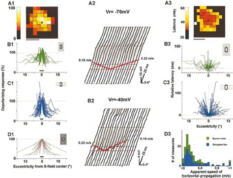 Spatial Sensitivity Profiles And Latency Basins Of Visually Evoked