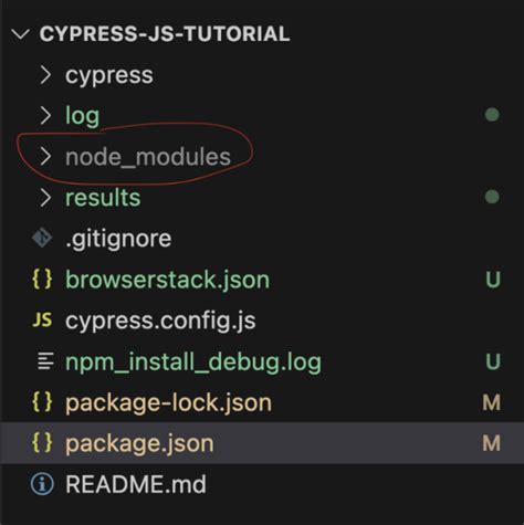 how to update a specific package using npm browserstack
