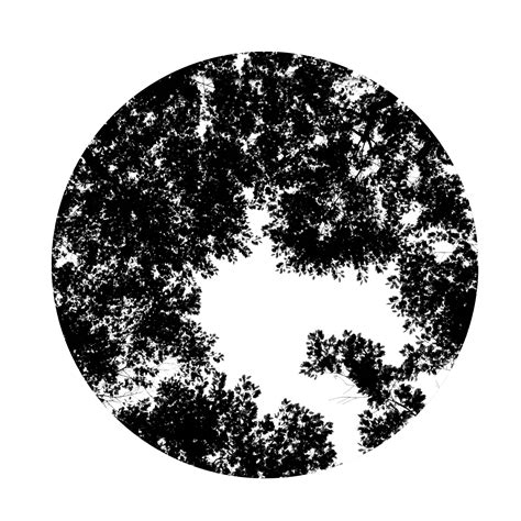 Gobo Tree Animated 03 • Imeshh 3d Model For Blender 40