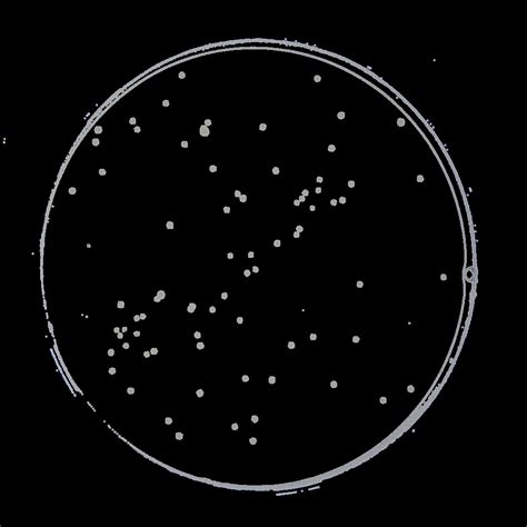 Colony Counter Object Detection Dataset And Pre Trained Model By Colony Count