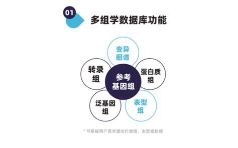 基因组 多组学数据库 长沙百奥云数据科技有限公司 智能育种 表型系统