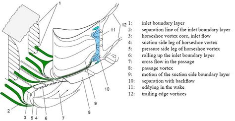 Schematic Showing The Various Vortical Structures In A Turbine Download Scientific Diagram