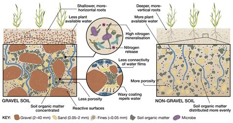 Soil Fertility Explained Soil Quality Knowledge Base