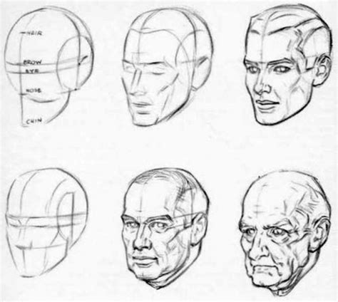 6 Captivating Male Face Drawing References And To Spark Your Creativity