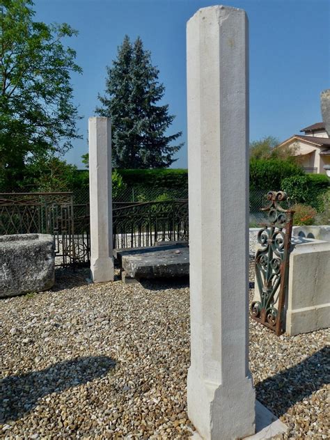 Proantic Series Of Four Monolithic Columns In Comblanchien Stone