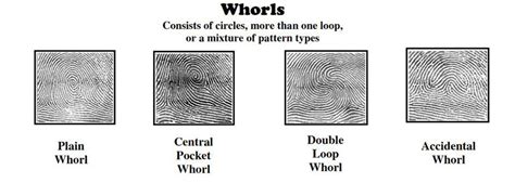 Recreating Fingerprints Using Convolutional Autoencoders Kdnuggets