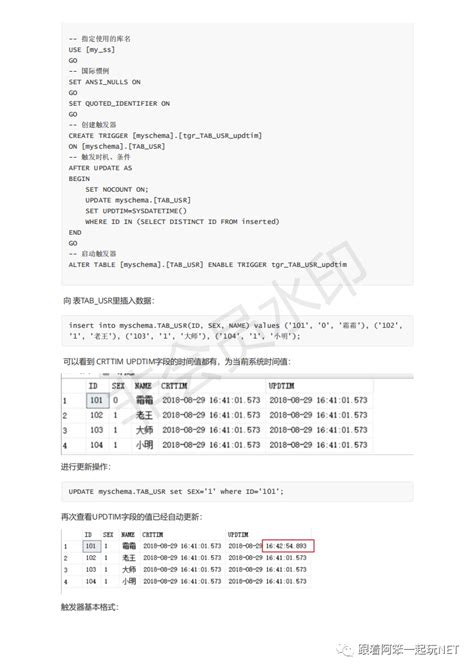 SQL SERVER数据库类型时间戳 timestamp 墨天轮