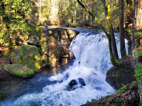 Whatcom Falls Park
