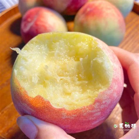田原牧语│陕西水蜜桃甜蜜来袭果肉