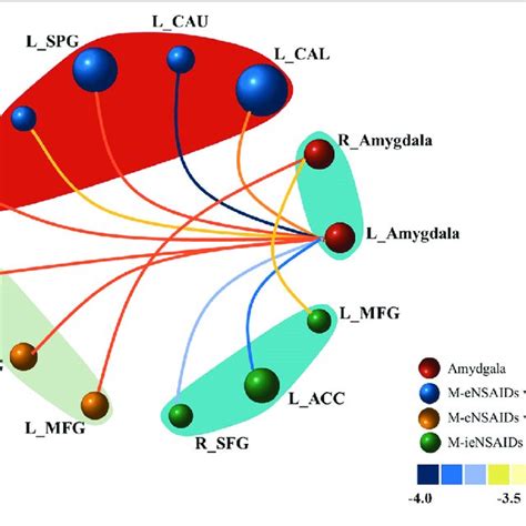 Abnormal Functional Connectivity Of The Left Amygdala Among The Three Download Scientific